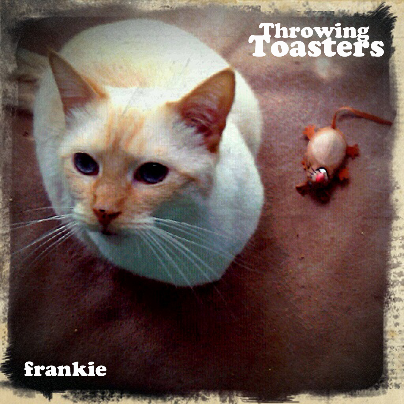 New Song! Frankie by Throwing Toasters/Mr. Grant – Grant Baciocco